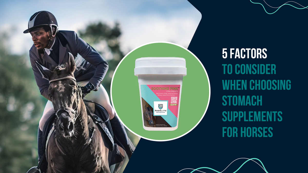 Horse Stomach Supplements: Soothing Pink Xtra Strength