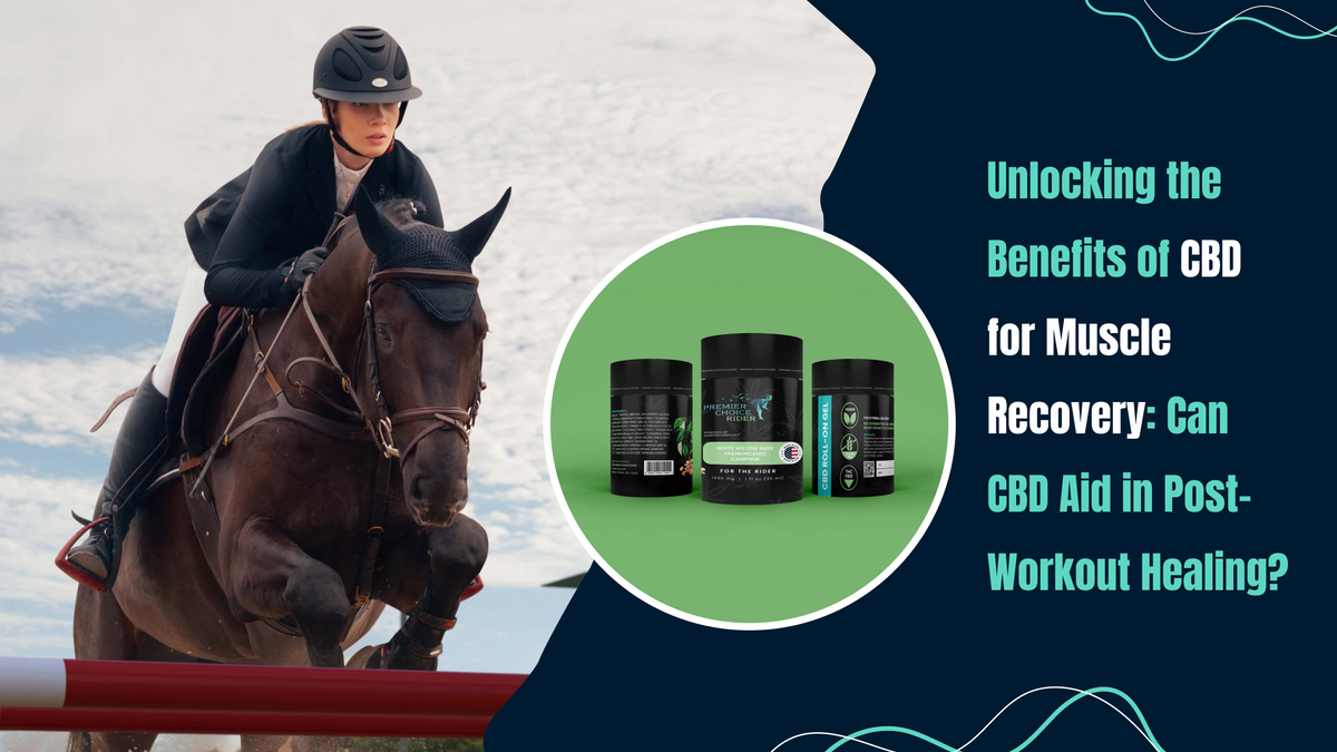 CBD for Muscle Recovery: Unlocking Benefits for Horse Riders